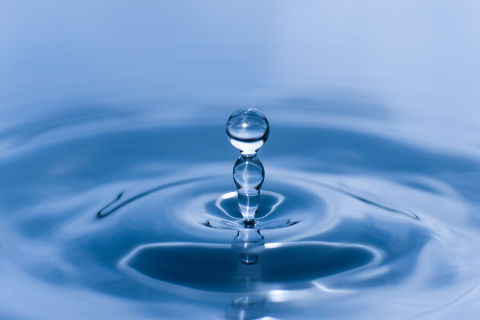 Cremation Alternatives - Walker Cremations, Funerals and Gatherings ...